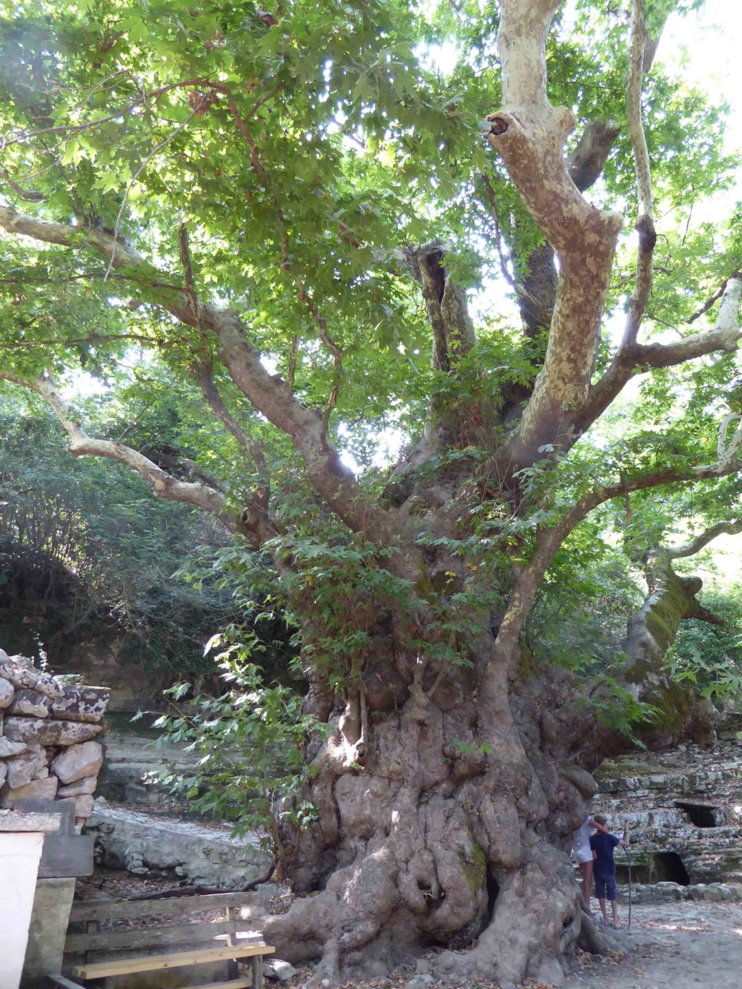 A Drive from Panokosmos to Argiroupoli and Carob Factory - Panokosmos
