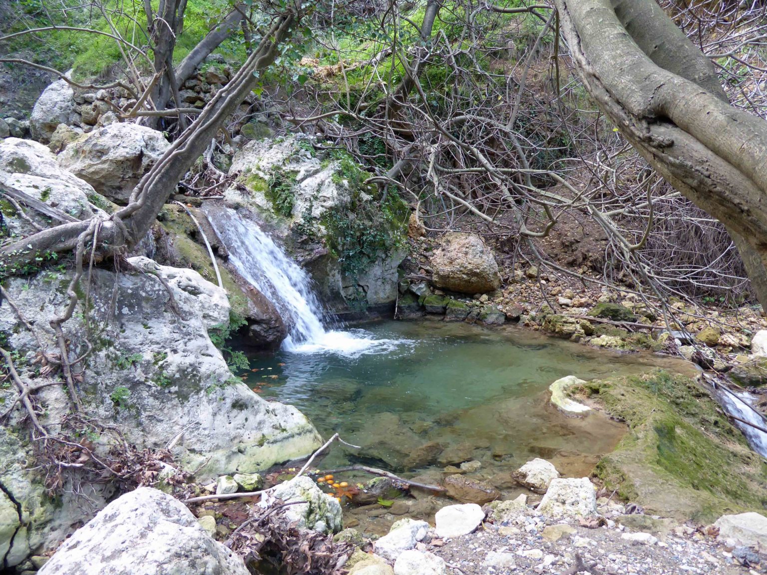 Mili Gorge Adventure - Panokosmos - A Green and shady gorge